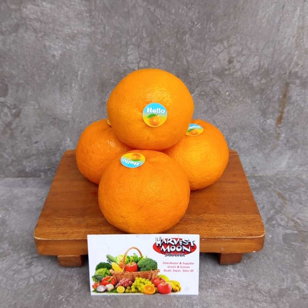Jual HarvestMoon Jeruk Wogan Per Kg | Shopee Indonesia