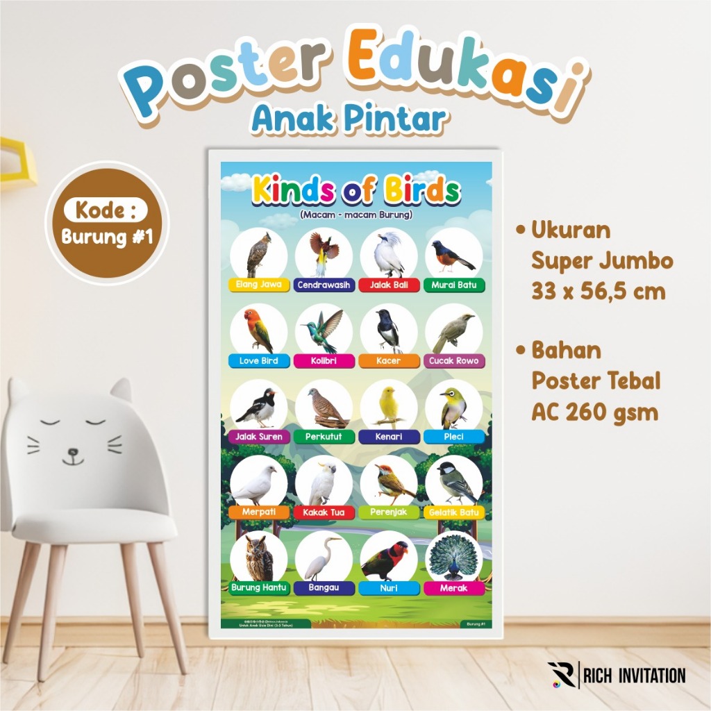 Jual (TEMA BURUNG) POSTER ANAK BERGAMBAR & BERWARNA - POSTER EDUKASI ...