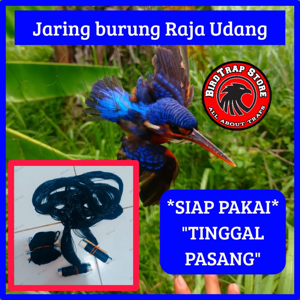 Jual Jaring burung raja udang 10 meter, jaring burung raja udang siap ...