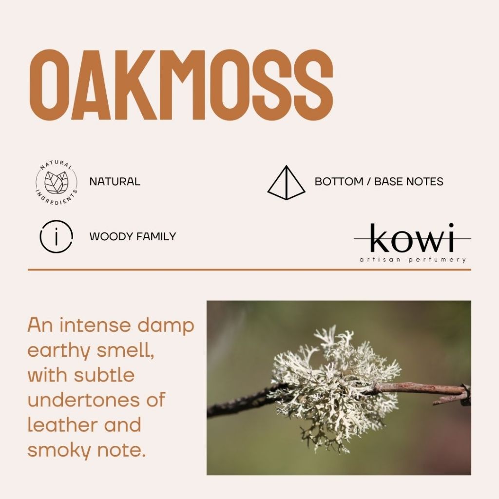 Jual OAKMOSS RESINOID (IFRA Low Atranol) | Shopee Indonesia