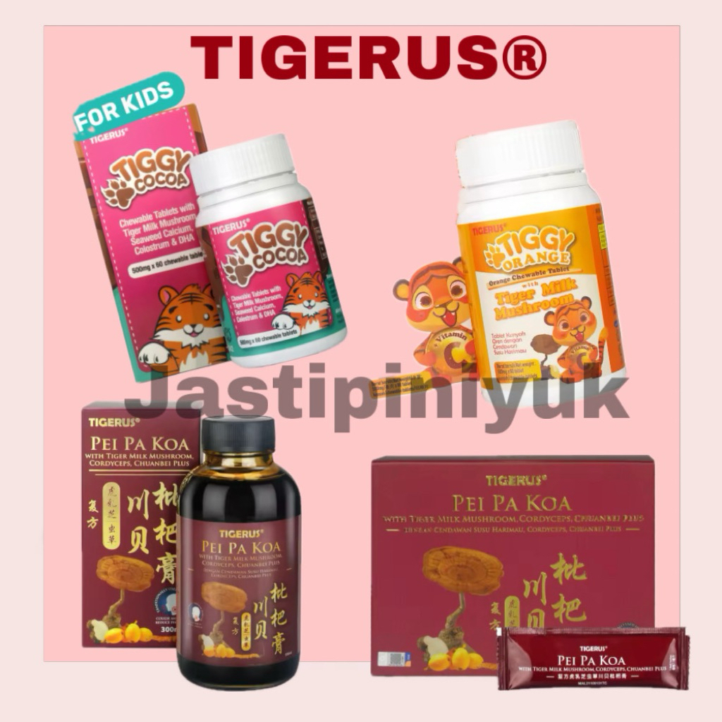 Jual [Pre Order Ready 18 November 2025] TIGERUS® TIGGY Orange | TIGGY ...