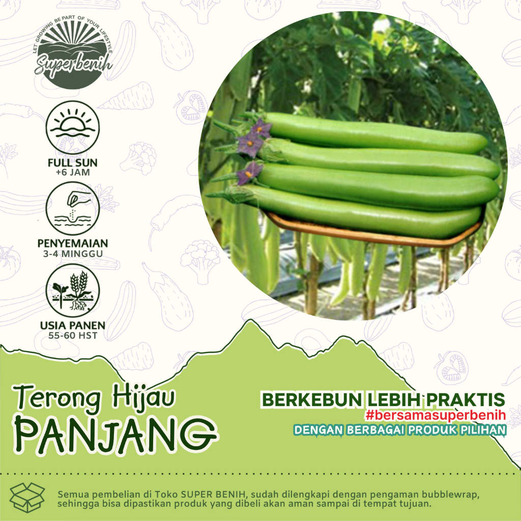Jual [15 Biji] Benih Terong Hijau Panjang hibrida F1 - Bibit Tanaman ...