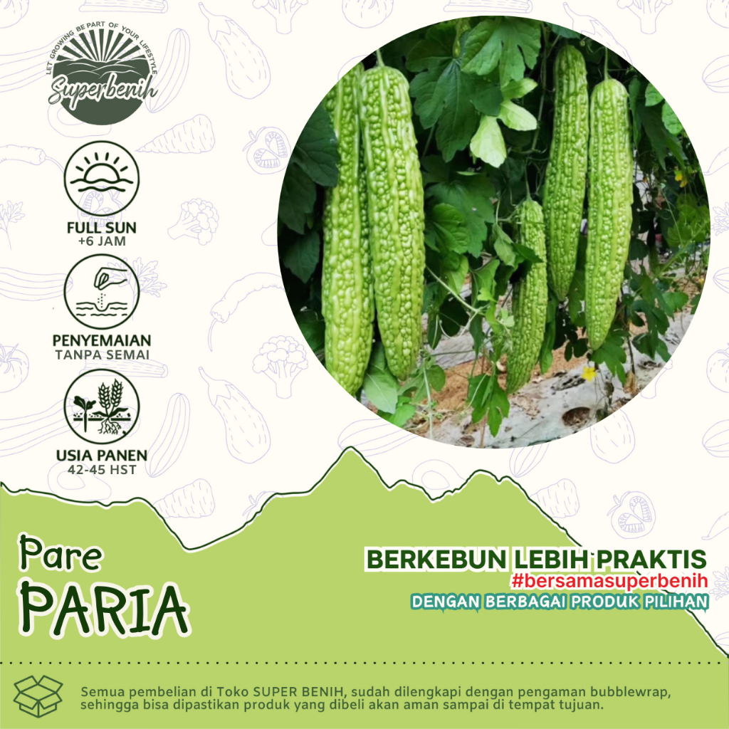 Jual 3 Biji - Benih Pare PARIA hibrida, buah lebat, buah panjang ...