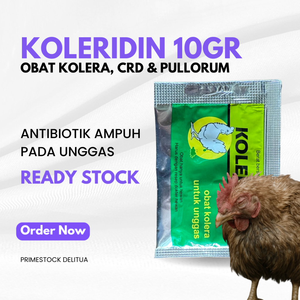 Jual KOLERIDIN Sachet 10gr - Obat Kolera untuk Unggas dengan Kandungan ...
