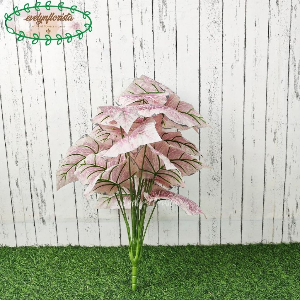 Jual Daun Hias Artificial Daun Calladium Pink Full X18 Semilatex Hiasan ...