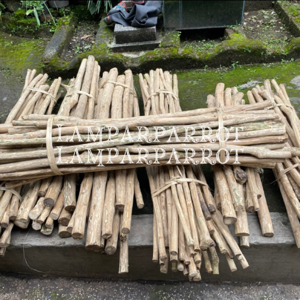 Jual Kayu Kopi tangkringan Lurus Panjang 1 M Diameter -+2Cm Untuk ...