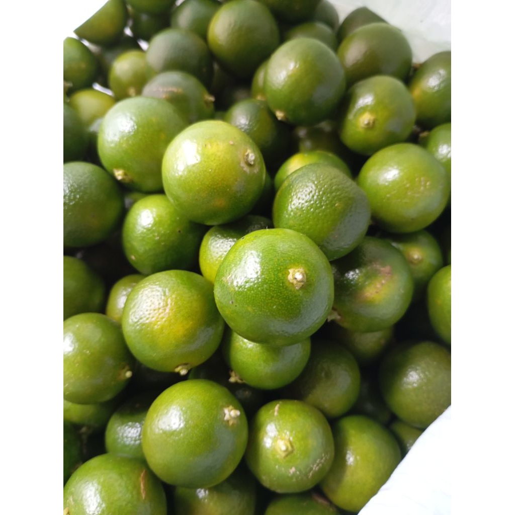 Jual jeruk kasturi/sonkit segar 1kg | Shopee Indonesia