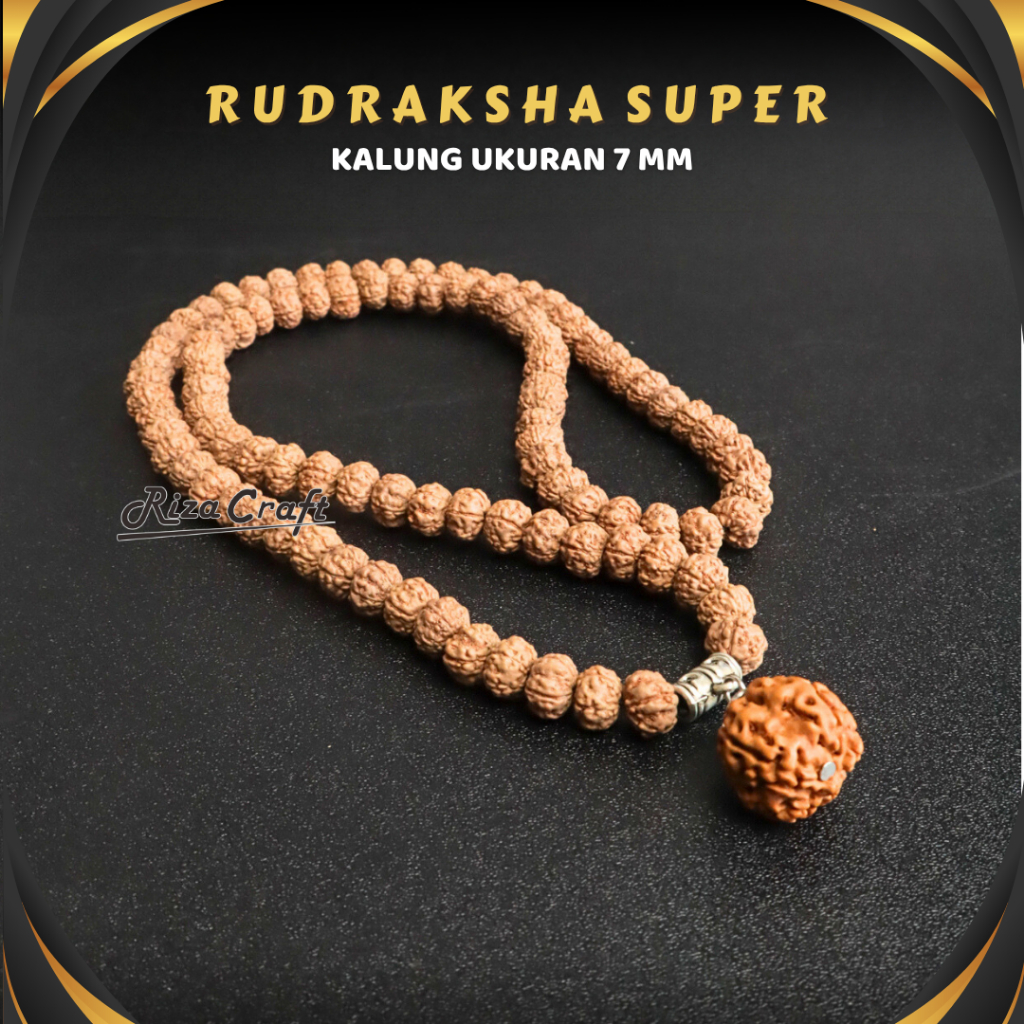 Jual Kalung Natural Biji Buah Rudraksha Jenitri Genitri Asli ...