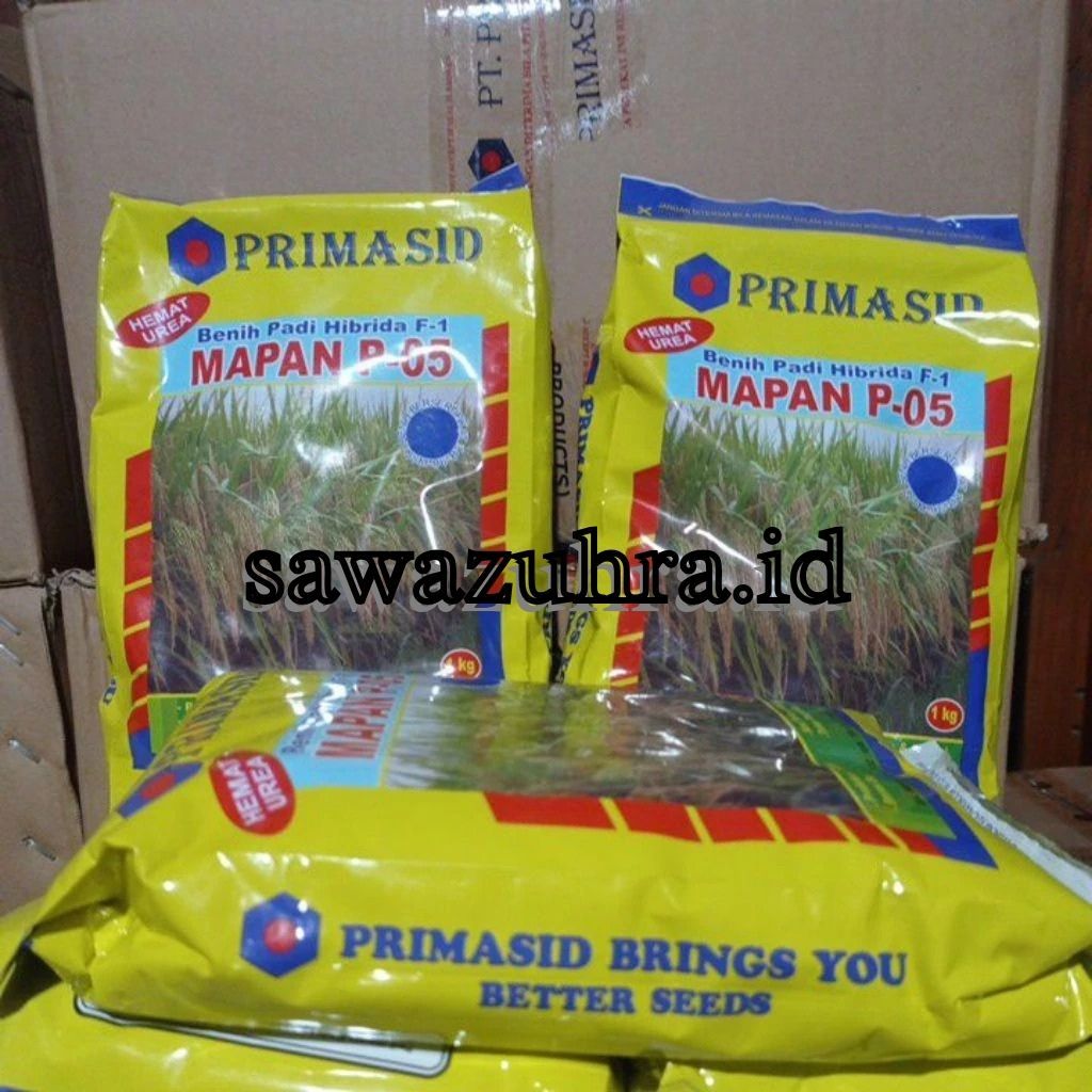 Jual MAPAN P-05 BENIH PADI HIBRIDA F-1 ALI PRIMASID KEMASAN PABRIK 1 Kg ...