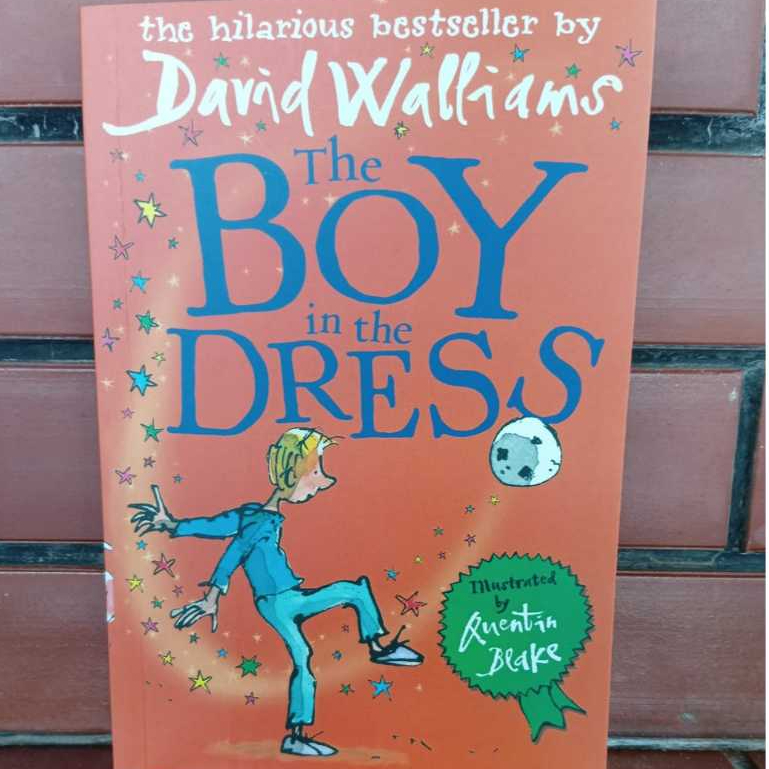 Jual David Walliams The Boy In The Dress Buku Cerita Anak Anak Bahasa ...
