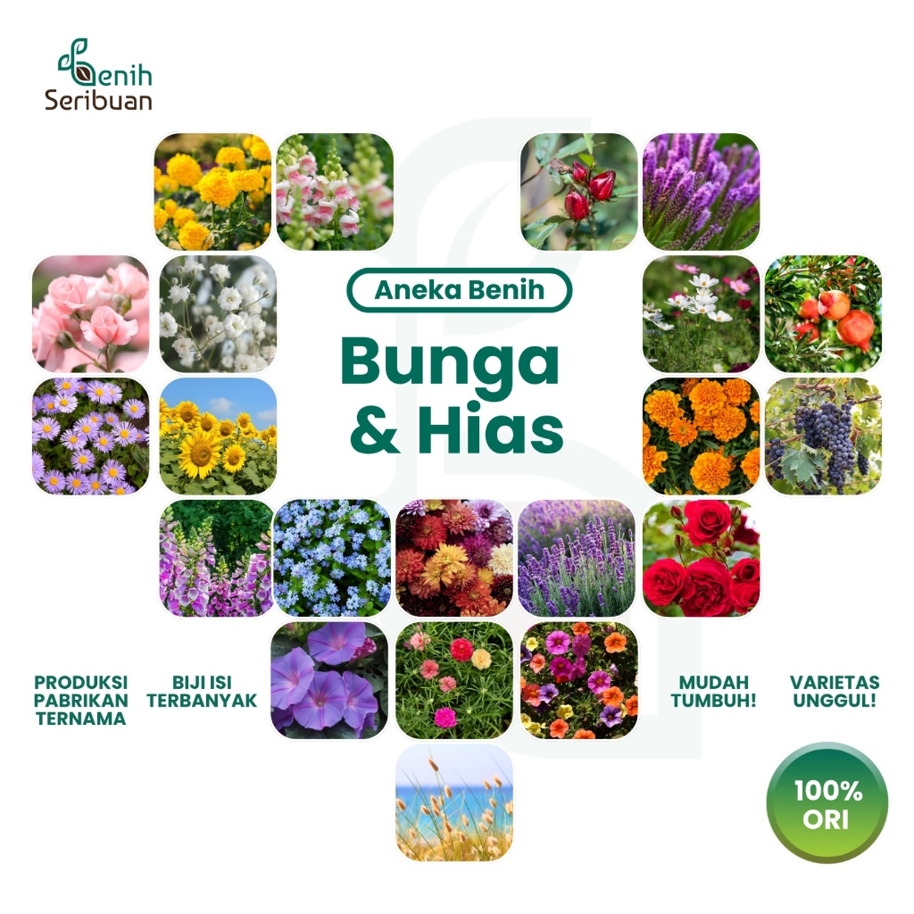 Jual Benih Seribuan - Aneka Benih Bunga & Tanaman Hias Varian Unggulan ...