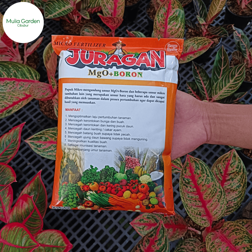Jual Pupuk BORON Plus MgO Kemasan 1Kg | Shopee Indonesia