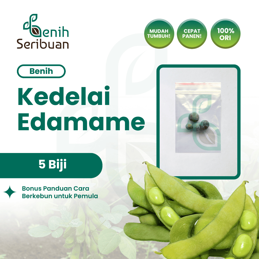 Jual 5 Bibit Kedelai Edamame Super Benih Sayuran Super Ryoko 75 Kacang ...