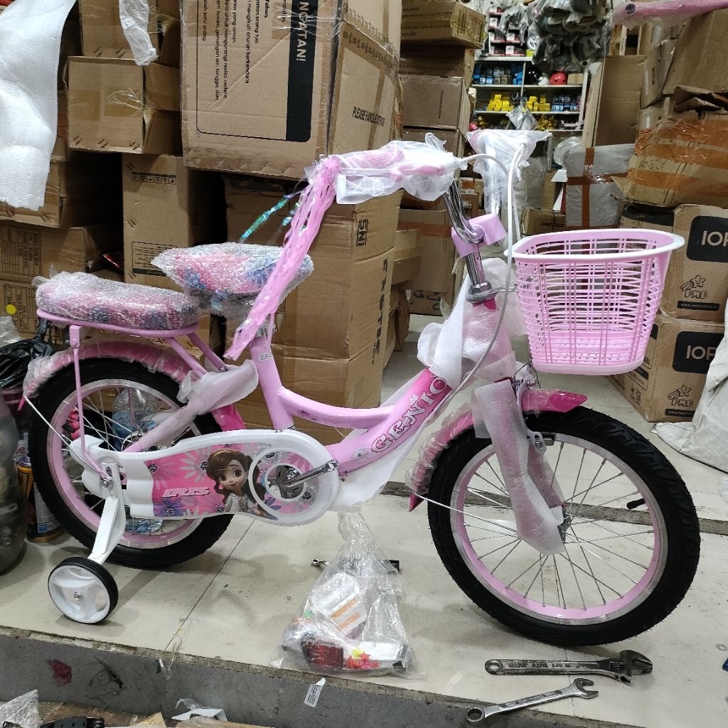 Jual sepeda anak mini 12 16 18 in mini keranjang iris/loolaa by Genio ...