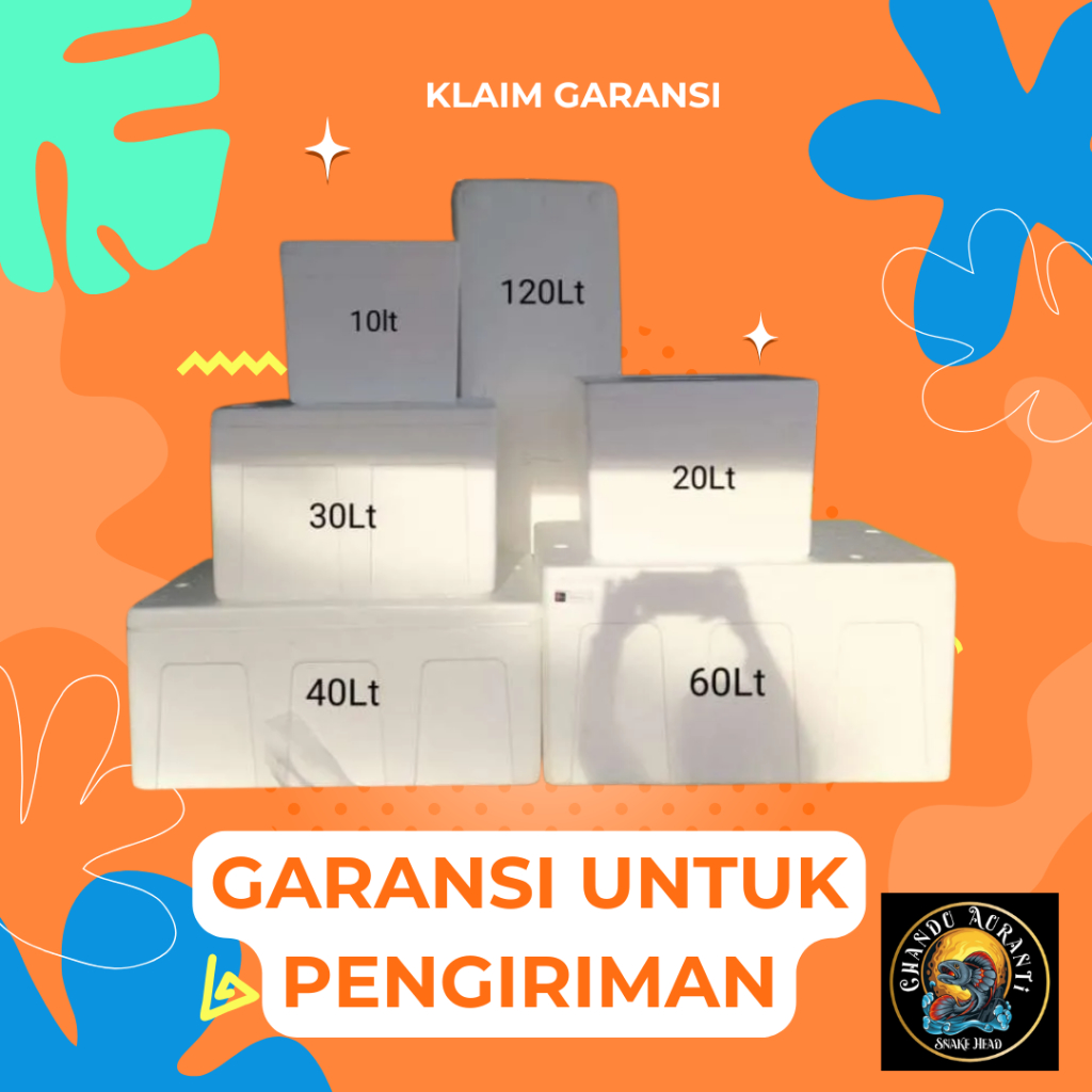 Jual Garansi Pengiriman Ikan Channa Berupa Box Sterofoam Dengan Ukuran ...