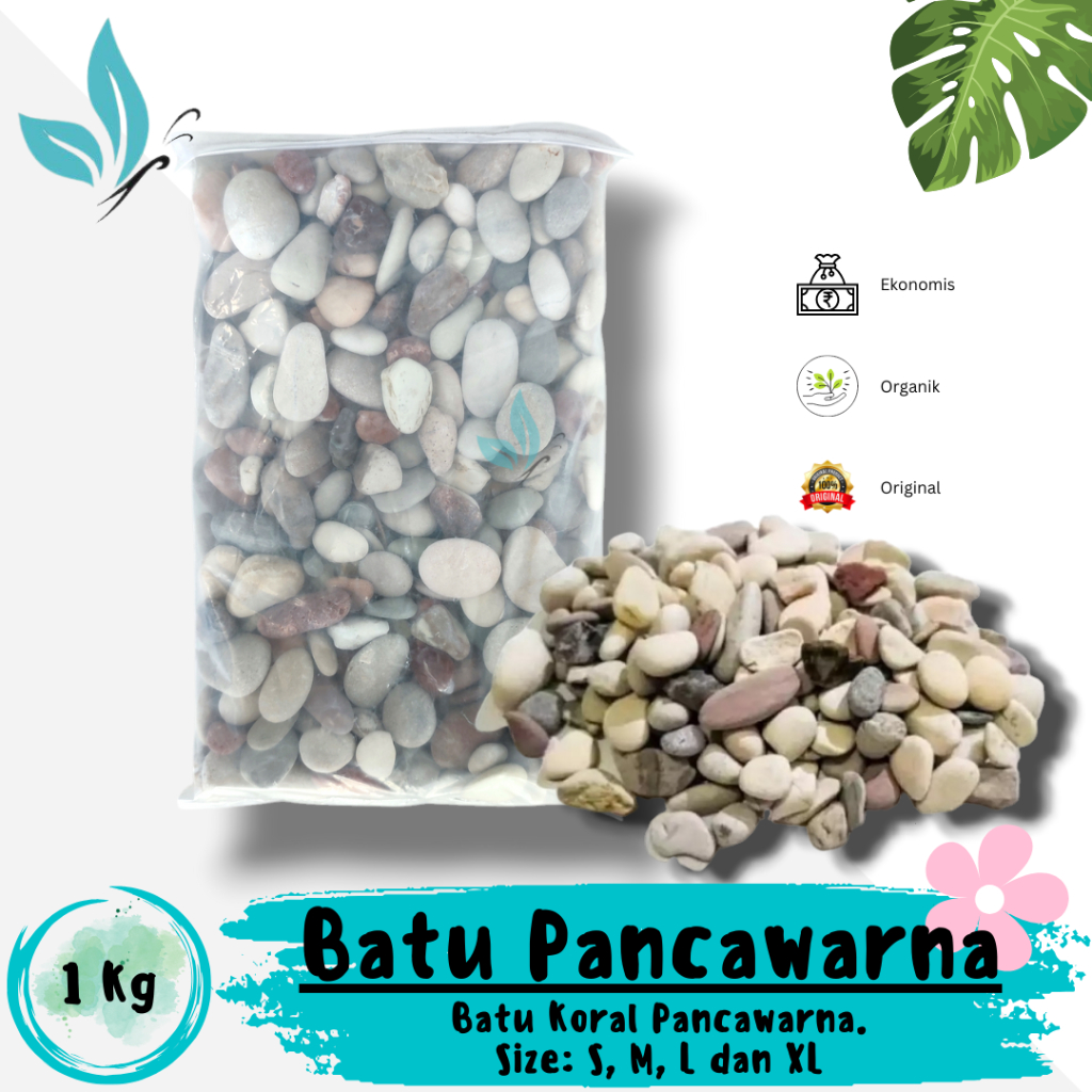 Jual Batu Koral Pancawarna Alam 1 Kg Media Taman Tanaman Aquascape Hias | Shopee Indonesia