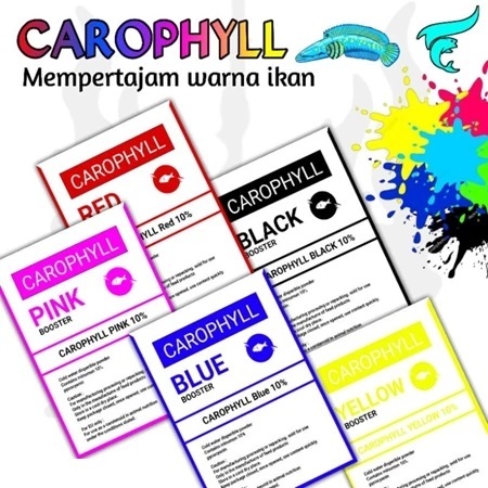 Jual Carophyll / Karopil / Carophyl warna Red, blue, yellow, pink x ...