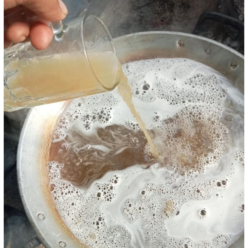 Jual Air nira legen/titisan pohon kelapa, badek asli ambil sendiri ...