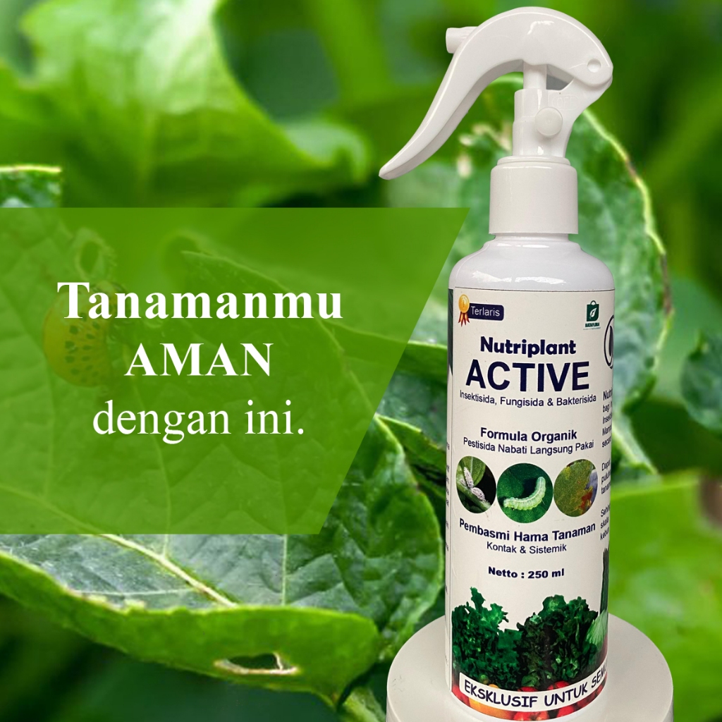 Jual Pembasmi Hama Tanaman Buah 250ml | KUTU PUTIH KEPIK JAMUR DAUN DAN ...