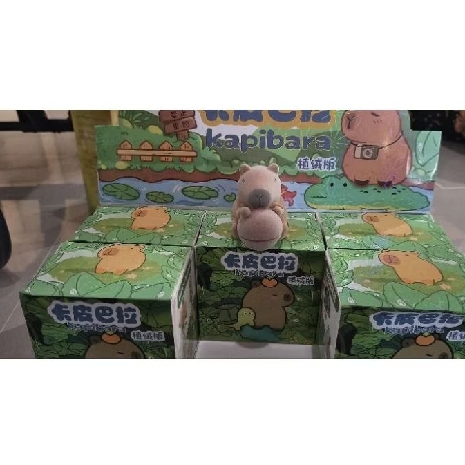 Jual Blindbox Kapibara Figure, Capibara Blind Box | Shopee Indonesia