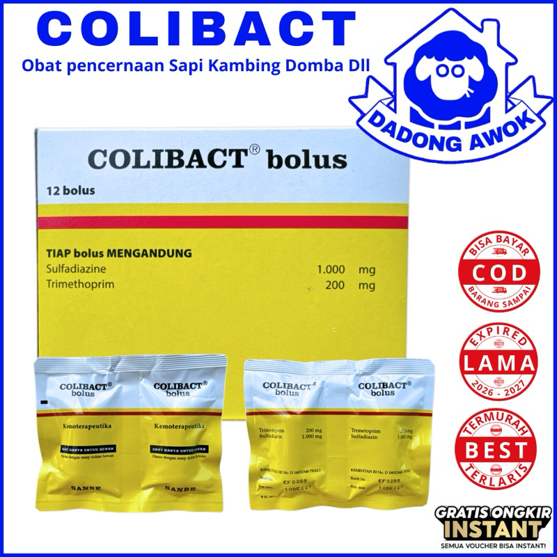 Jual COLIBACT BOLUS 1 BOX isi 12 BOLUS OBAT DIARE MENCRET - INDUK BARU ...