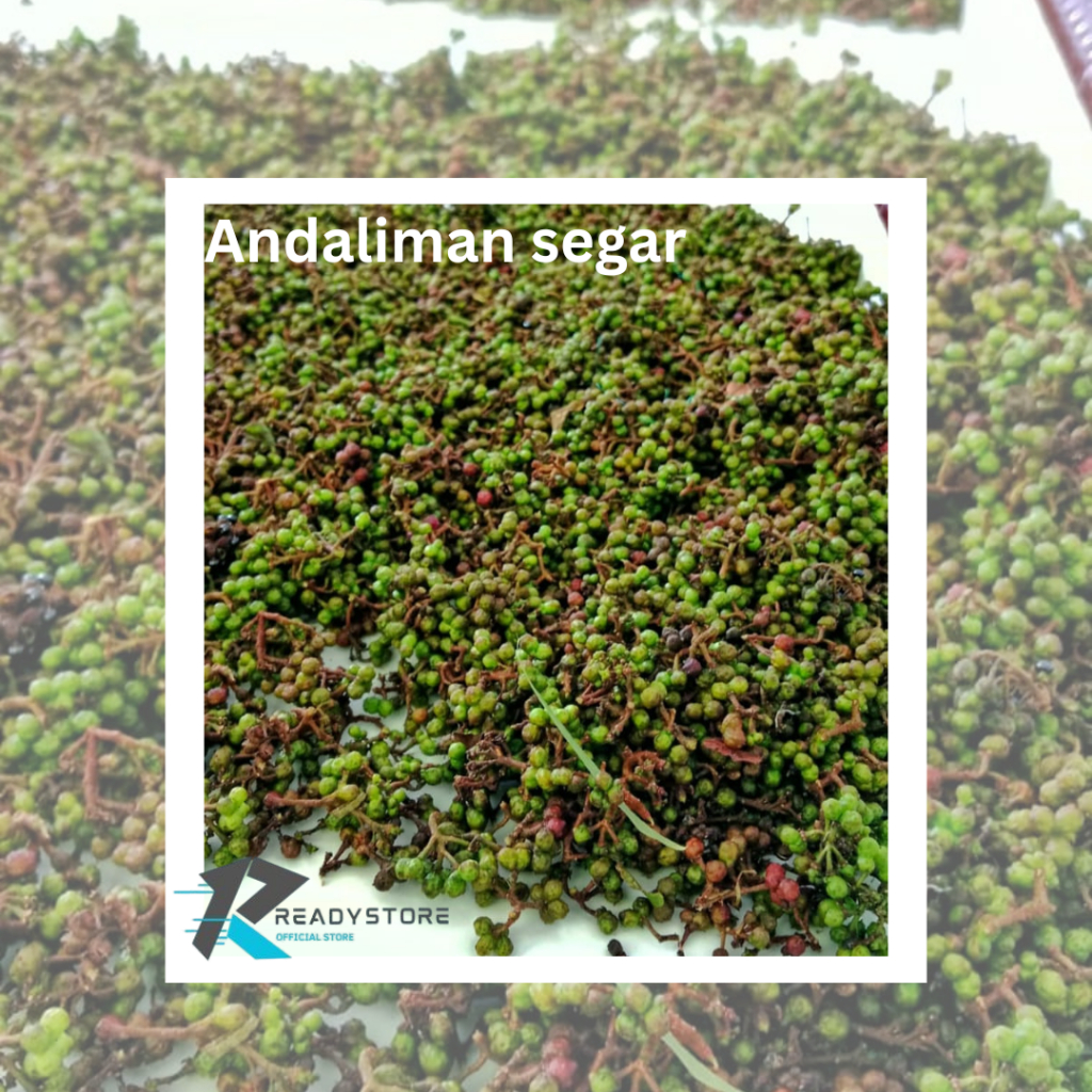 Jual 1 ON (100 GRAM) ANDALIMAN SEGAR, BUMBU/REMPAH/MERICA BATAK ...