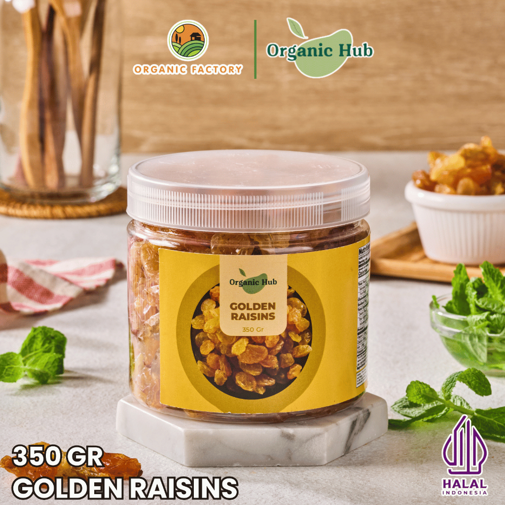 Jual Organic Hub Golden Raisans Kismis 100% Asli Arab Premium Quality ...