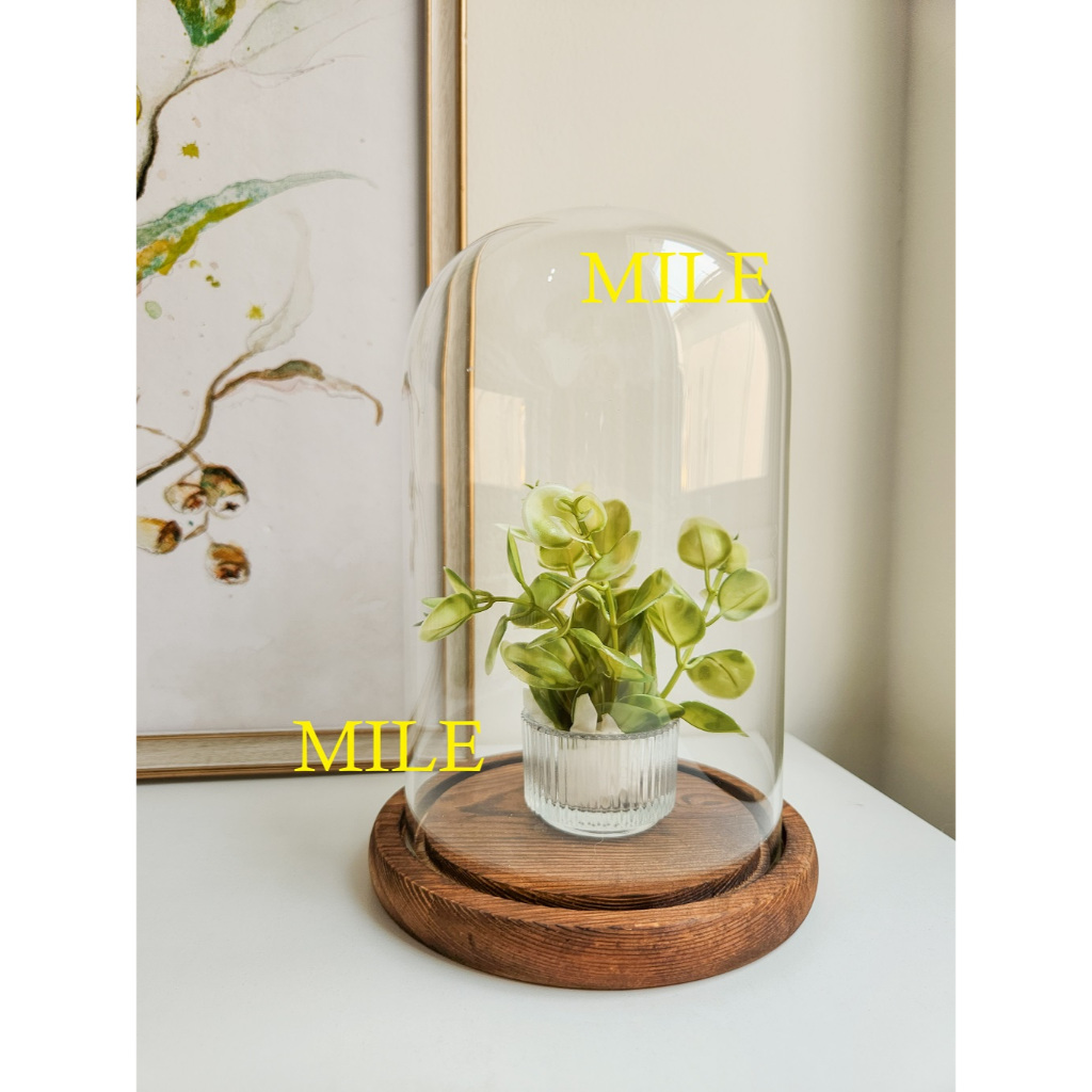 Jual glass dome kaca bunga kering preserved flower | Shopee Indonesia