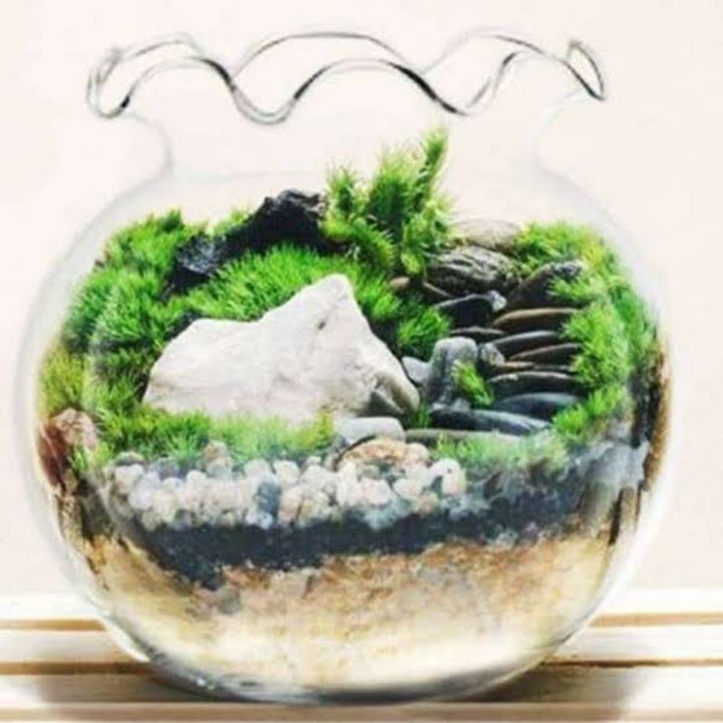 Jual aquarium mini bulat fish bowl | Shopee Indonesia