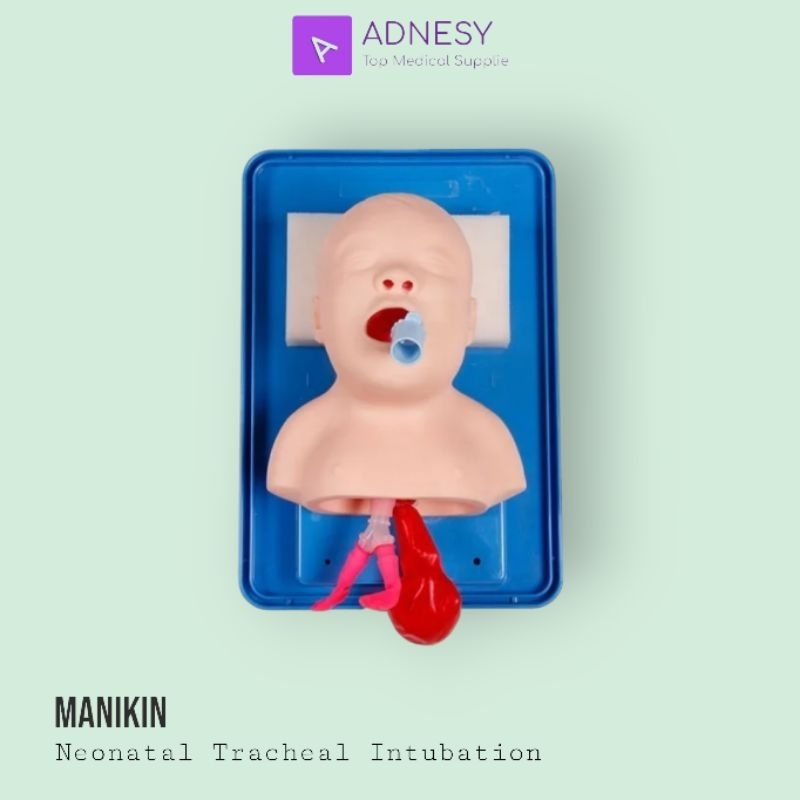 Jual Phantom Manikin Neonatal Tracheal Intubation / Manikin Infant ...