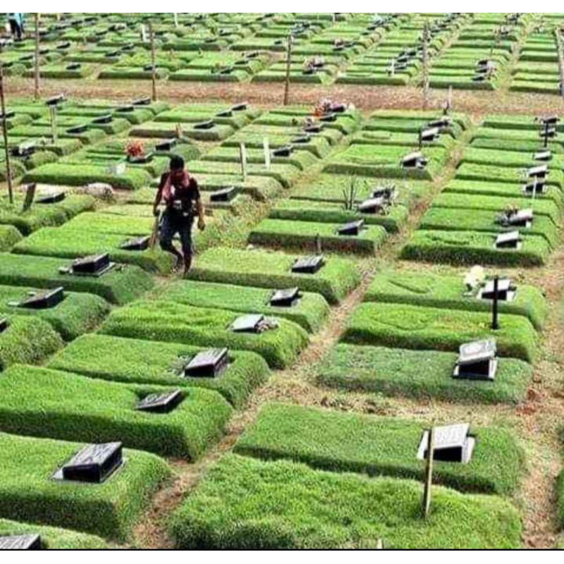 Jual Paket Taman Makam+Nisan+Pasang/ Rumput makam JABODETABEK | Shopee ...