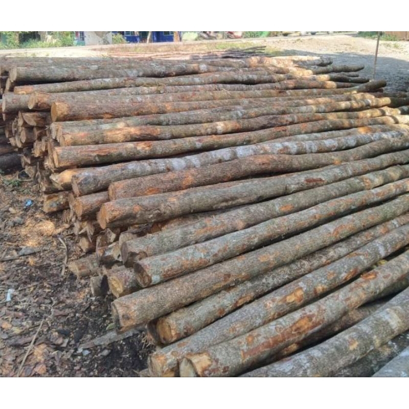 Jual kayu Dolken tiang 8/10 , 4meteran (PUSPA GALIH) | Shopee Indonesia