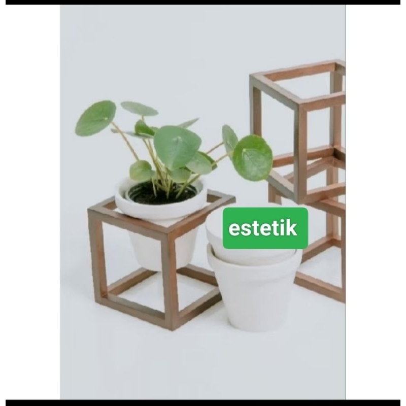 Jual standing pot/tempat pot bisa ditempel di dinding | Shopee Indonesia