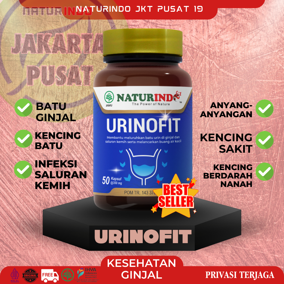 Jual Naturindo Urinofit Obat Herbal Spesialis Meluruhkan Batu Ginjal Prostat Infeksi Saluran ...