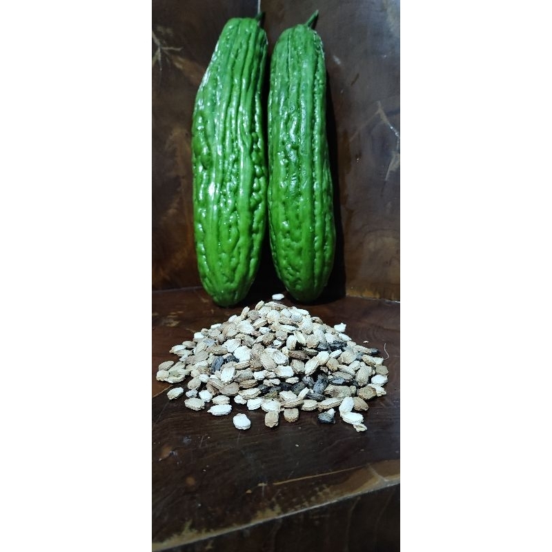 Jual benih pare ungulann kemasan repack isi 20 pc | Shopee Indonesia