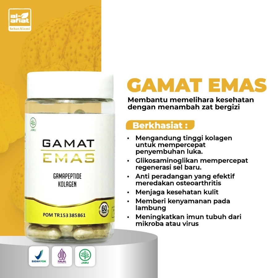 Jual GAMAT EMAS AL AFIAT KAPSUL EKSTRAK GAMAT 60 KAPSUL | Shopee Indonesia