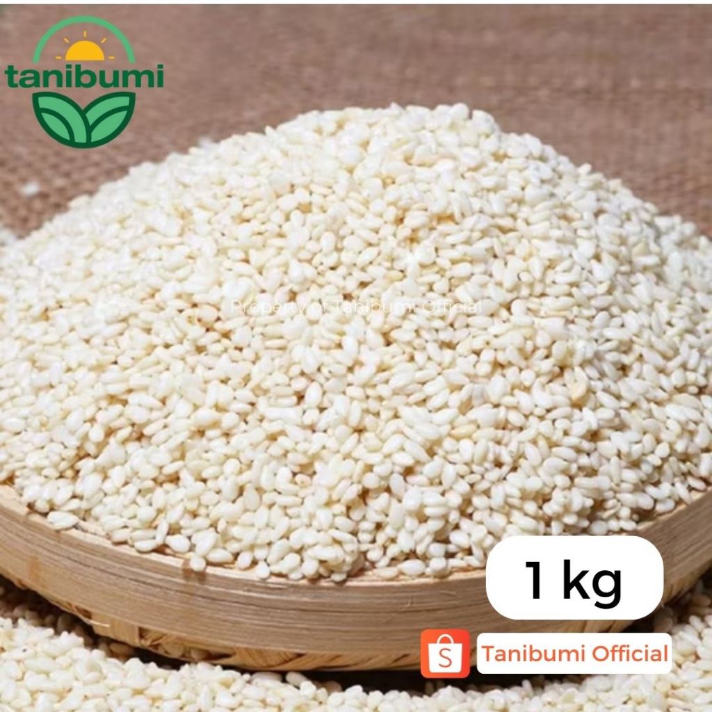 Jual 1Kg | Termurah Biji Wijen Putih | White Sesame Seed | Import Super ...