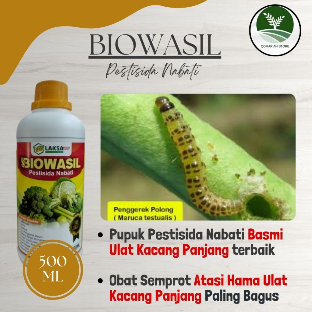 Jual OBAT PEMBASMI ULAT KACANG PANJANG - BIOWASIL 500ML Pupuk pestisida atasi hama ulat pada ...