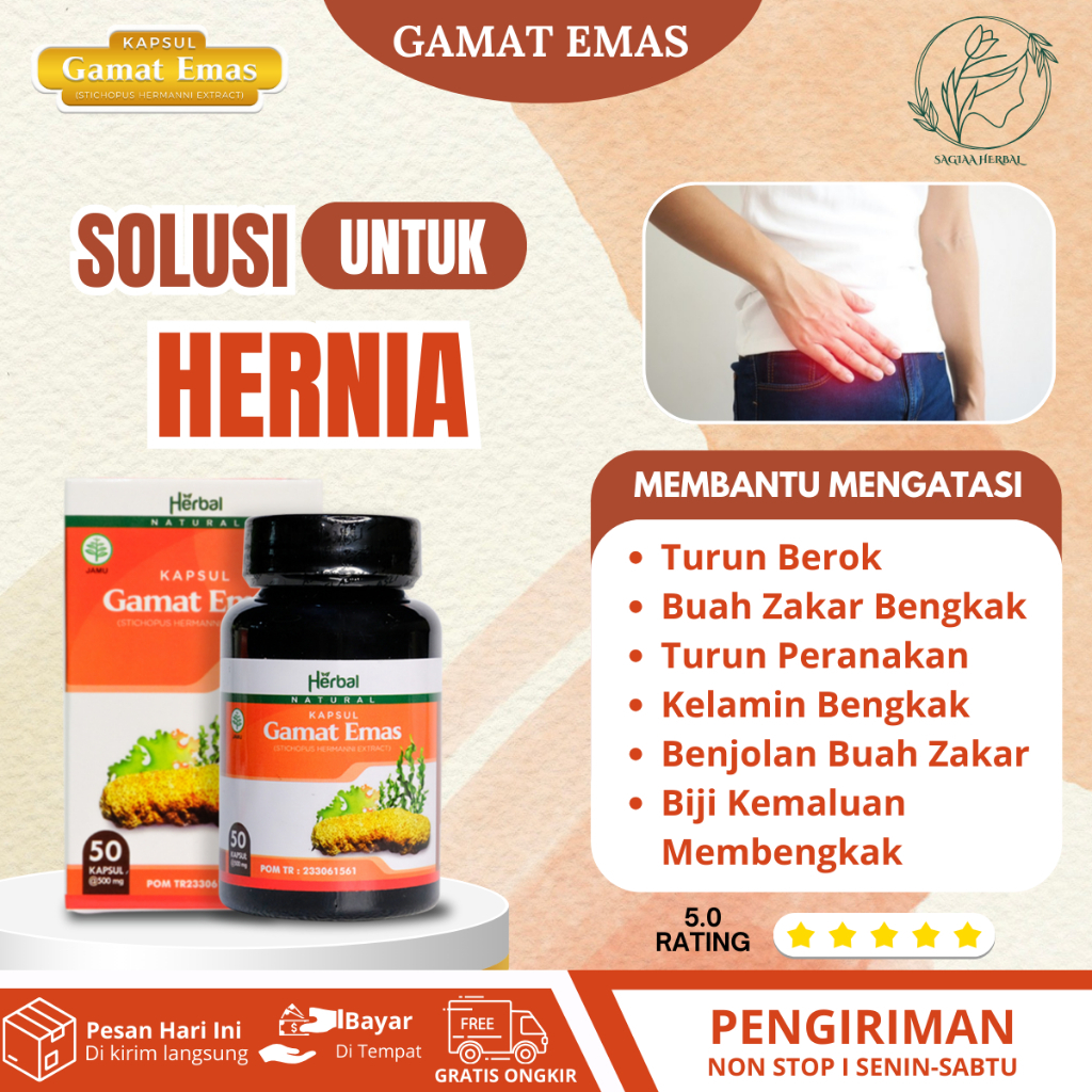 Jual Obat Hernia Turun Berok Buah Zakar Bengkak Turun Peranakan Kelamin ...
