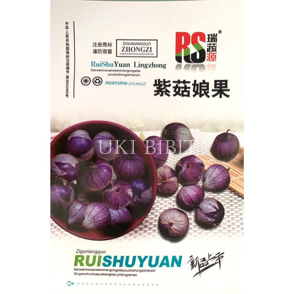 Jual Kemasan Original | Benih Biji Ciplukan Ungu | Cecendet | Shopee ...