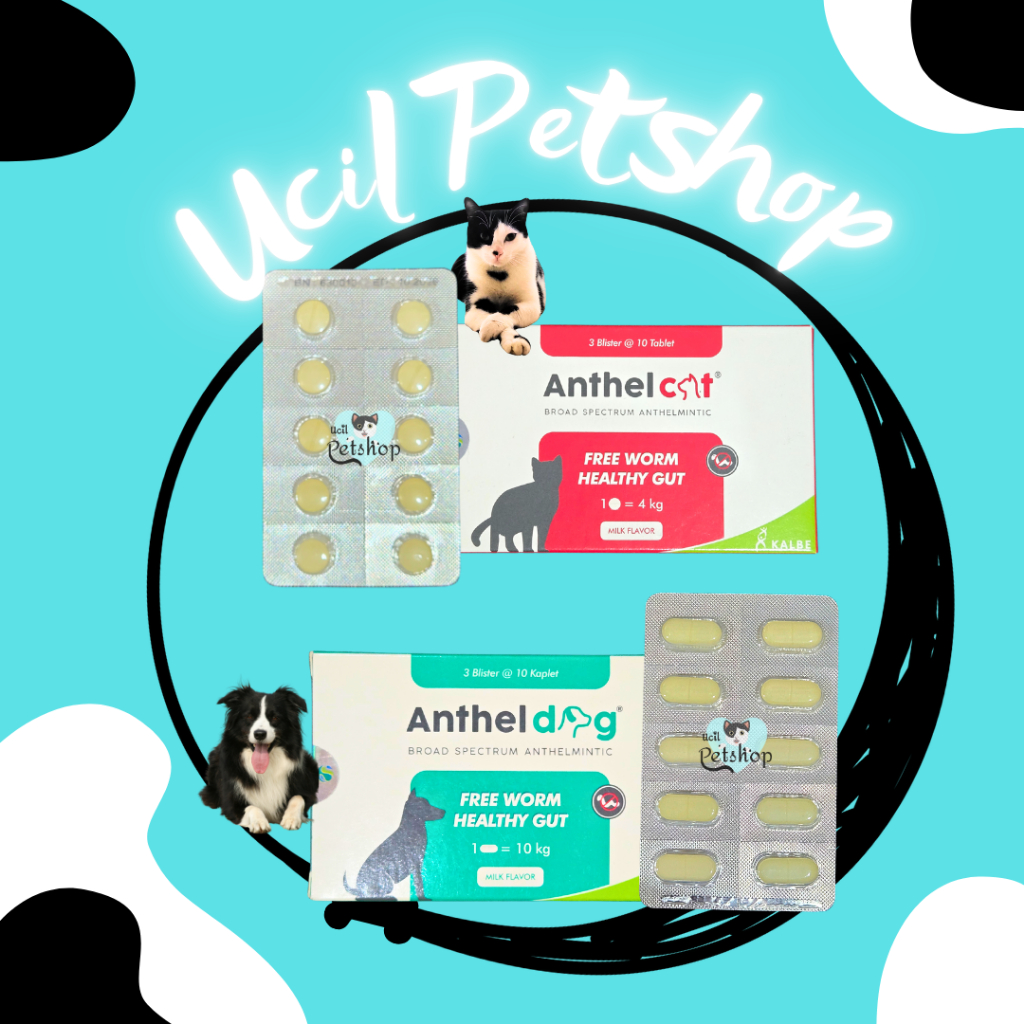 Jual Anthel Cat / Dog (1 BLISTER = 10 Tablet) Obat Cacing Kucing ...