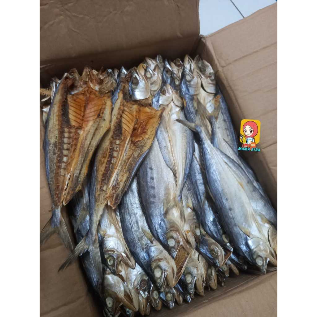 Jual ikan asin talang belah/ikan asin talang-talang/ikan uwais super ...