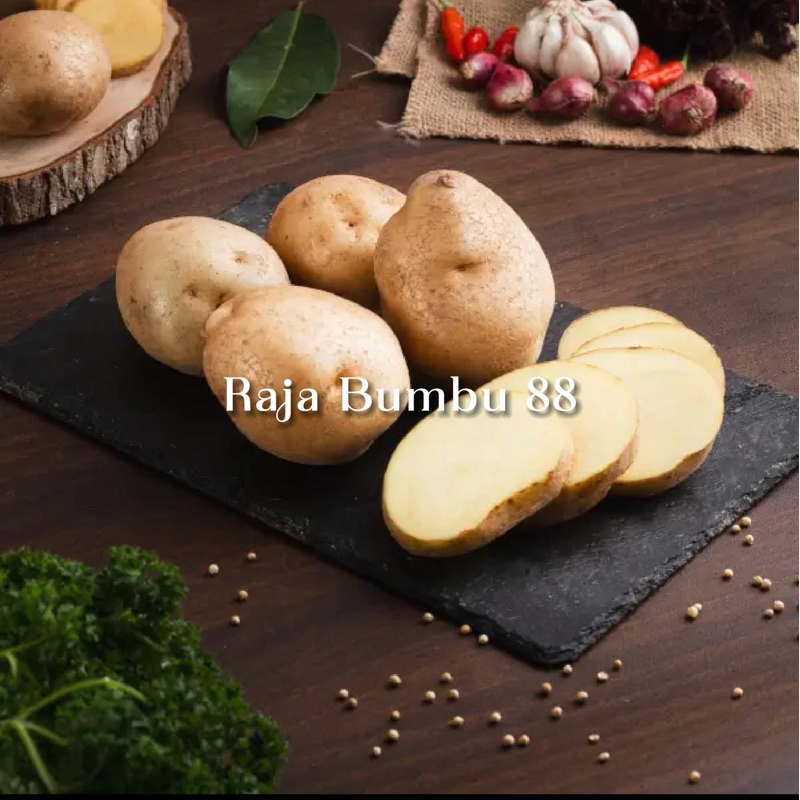 Jual KENTANG DIENG ukuran Sedang | Shopee Indonesia