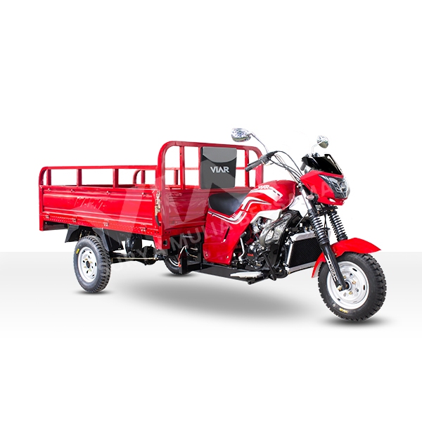 Jual Viar New Karya 200 Ln (Motor Roda Tiga) | Shopee Indonesia