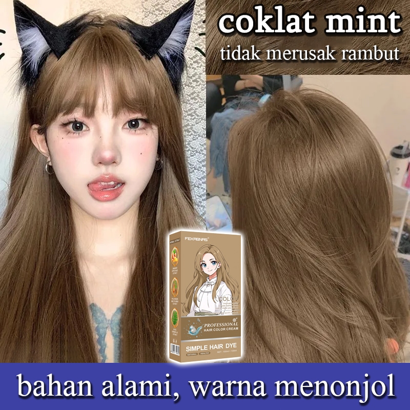 Jual Cat rambut* 210ml Warna Rambut Permanen, 100% Menutupi Uban, Tanpa ...