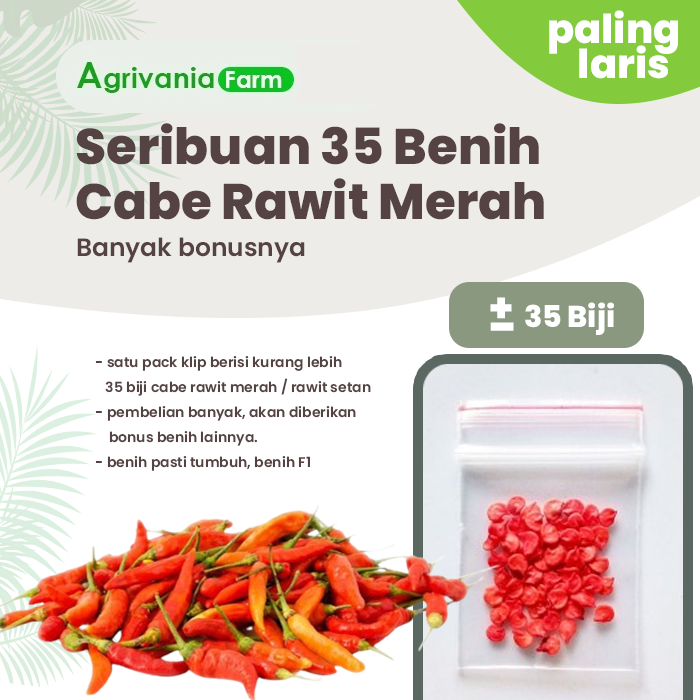 Jual 35 Benih Cabai Rawit Merah F1 Cabe Setan 1 pack Klip Pasti Tumbuh ...