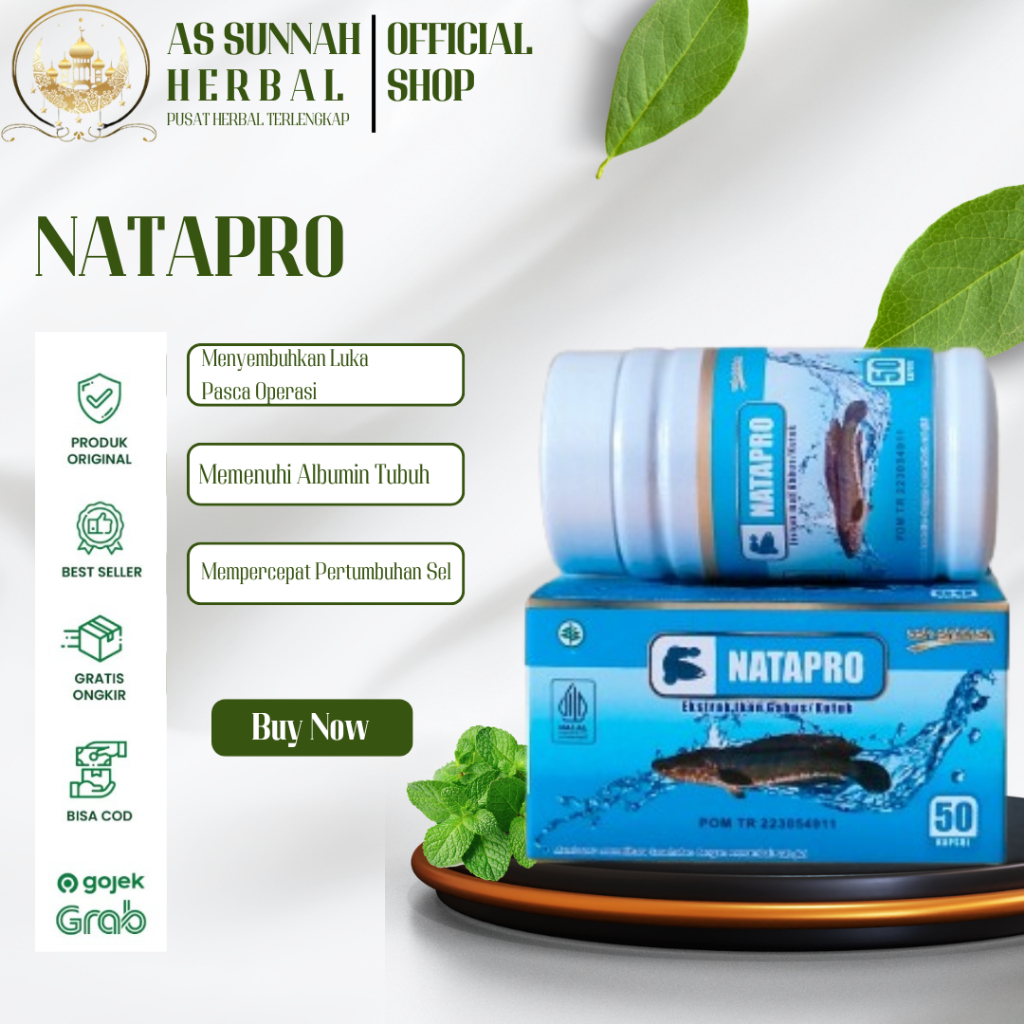 Jual Natapro (Dulu Pro Albumin) Ash-Shihhah Kapsul Ekstrak Ikan Gabus ...
