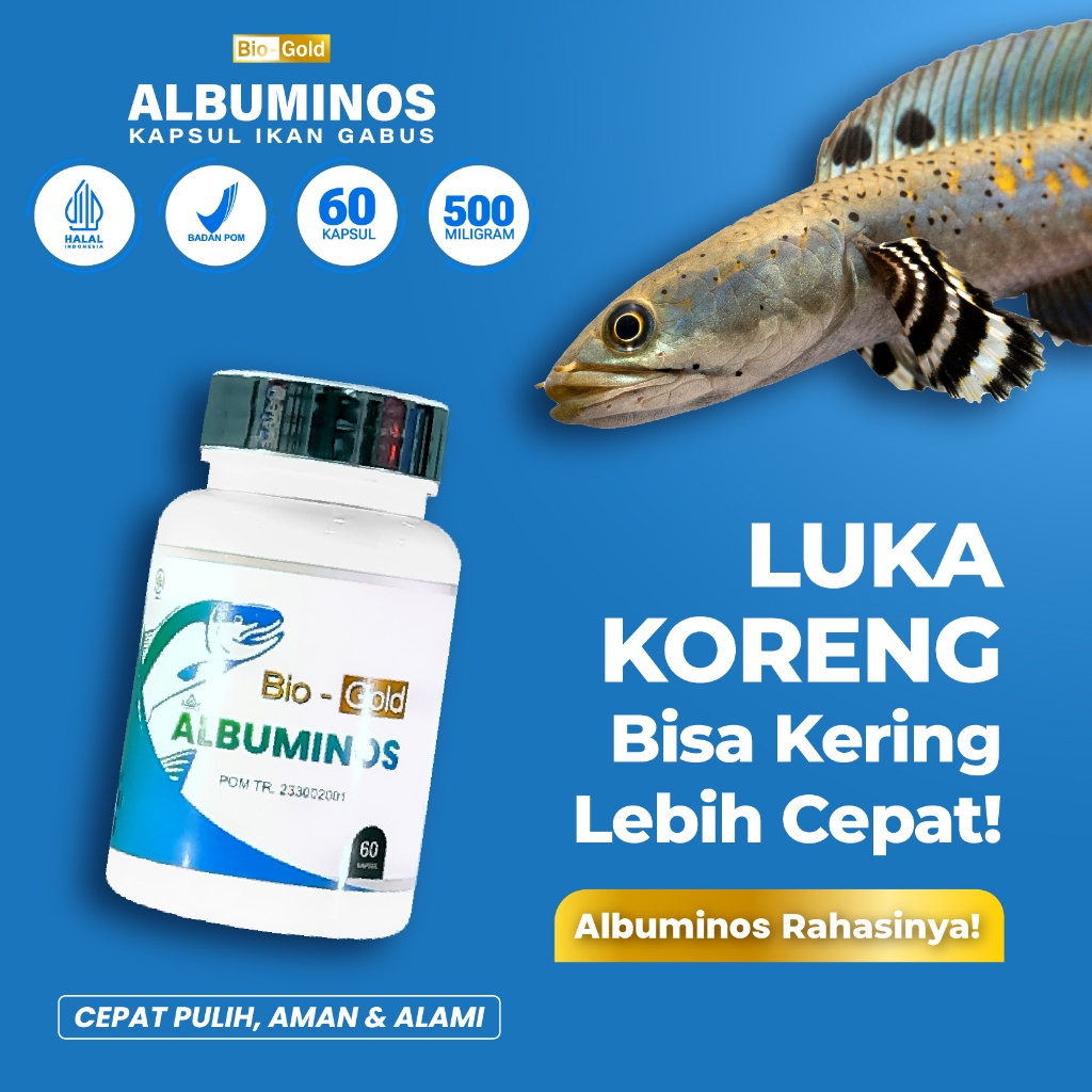 Jual Bio Gold - Albuminos Bio Gold Ekstrak Ikan Gabus Kapsul Kutuk Bantu Atasi Luka Koreng ...