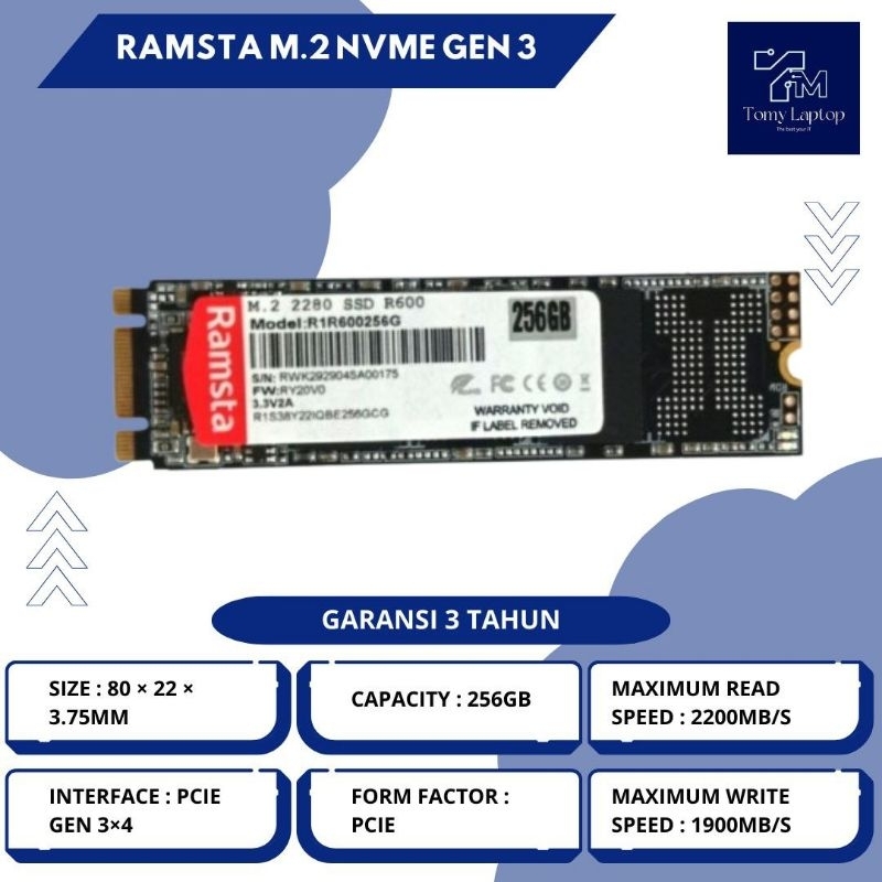Jual SSD RAMSTA M.2 NVME NVME GEN 3 CAPACITY 256GB PCIE GEN 3×4 ...