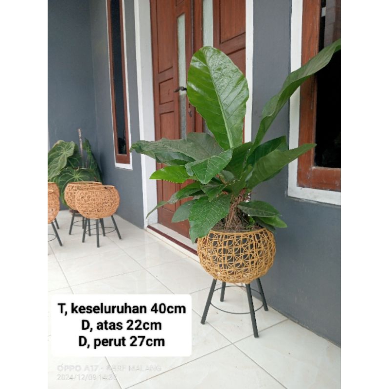 Jual BRF / PROMO vas bunga brekele / pot bunga rotan sintetis ...